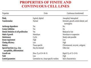 ANIMAL BIOTECHNOLOGY. Cell culture and its types | PPTX