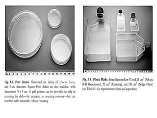 ANIMAL BIOTECHNOLOGY. Cell culture and its types | PPTX