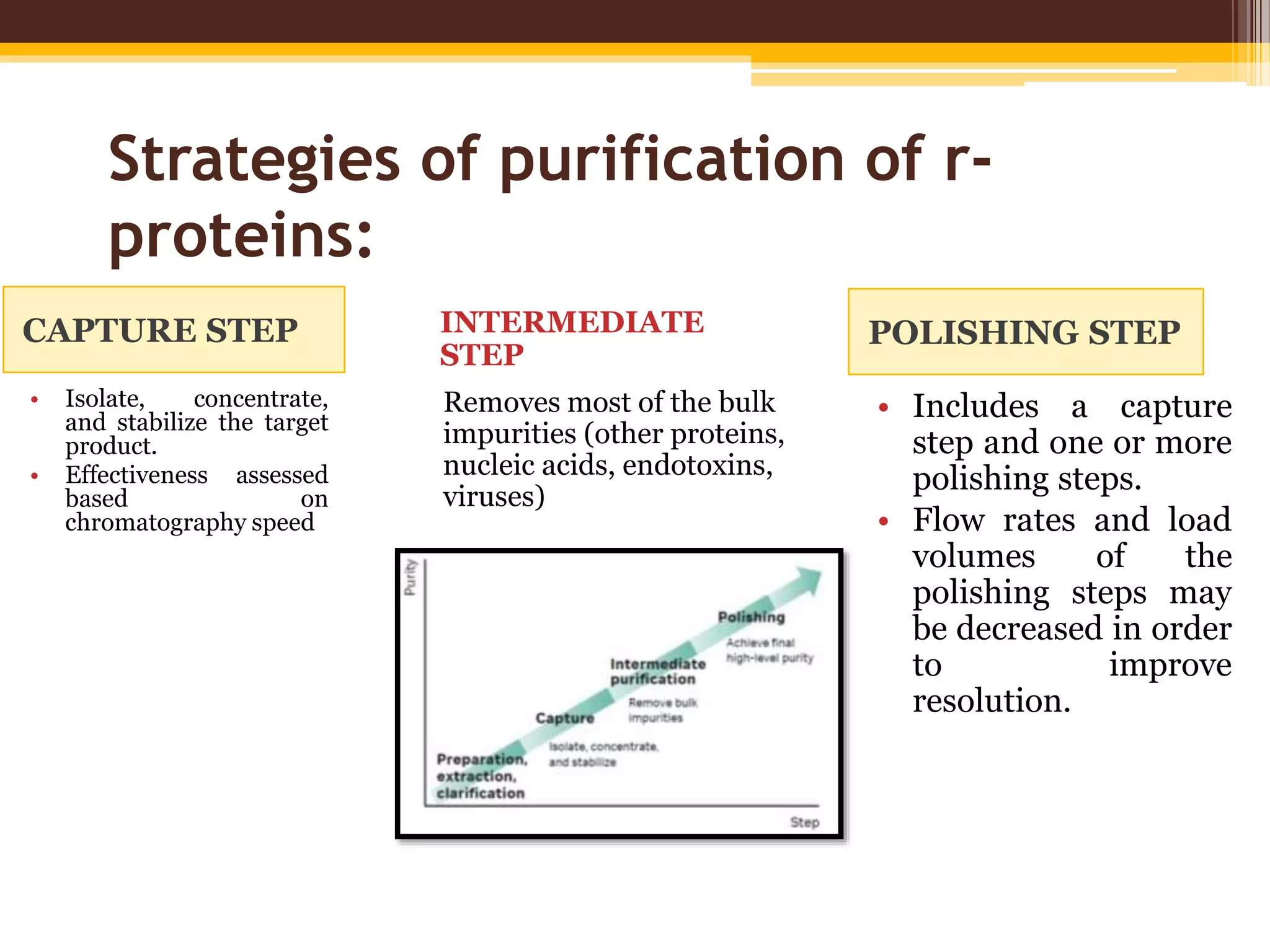 Production of recombinant proteins | PPTX