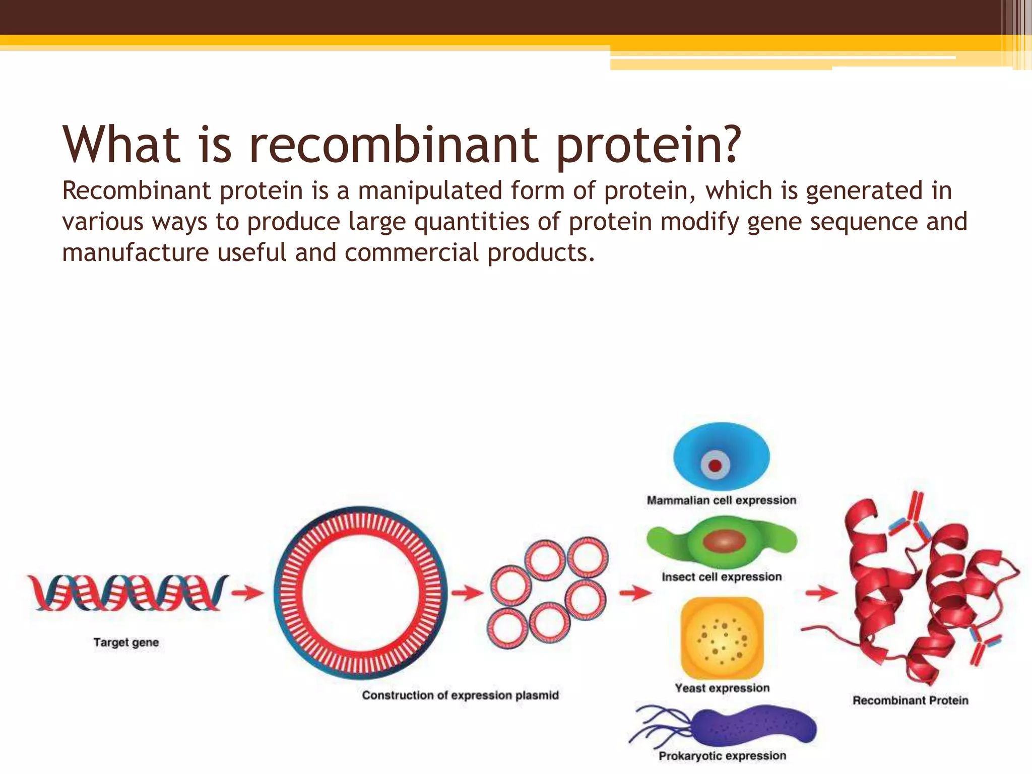 Production of recombinant proteins | PPTX