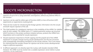 Invivo protein synthesis | PPTX
