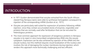 Invivo protein synthesis | PPTX