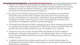Invivo protein synthesis | PPTX | Infertility | Reproductive Health