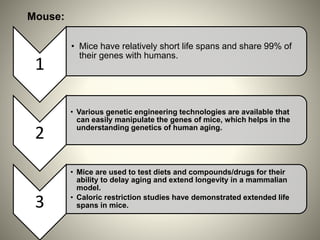 Aging and animal biotechnology | PPTX