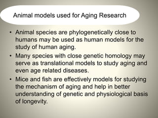 Aging and animal biotechnology | PPT