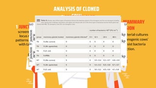 Animal biotechnology presentation | PPTX