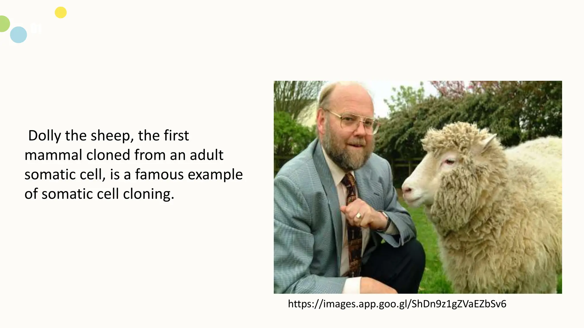Somatic cell cloning and dolly ppt.pptx