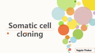 Somatic cell cloning and dolly ppt.pptx
