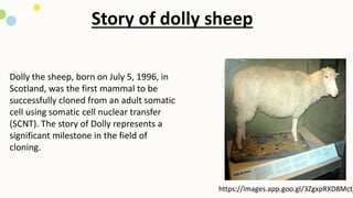 Somatic cell cloning and dolly ppt.pptx | Genetics | Science
