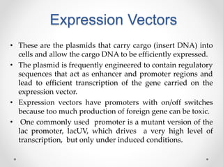 Expression vectors | PPTX