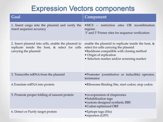 Expression vectors | PPTX | Programming Languages | Computing