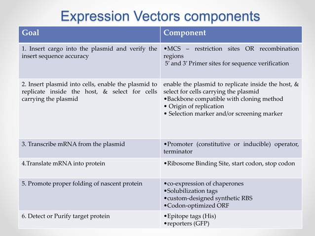 Expression vectors | PPTX | Programming Languages | Computing
