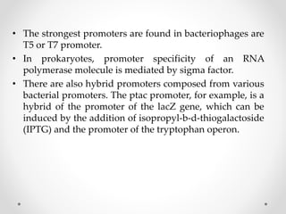 Expression vectors | PPTX