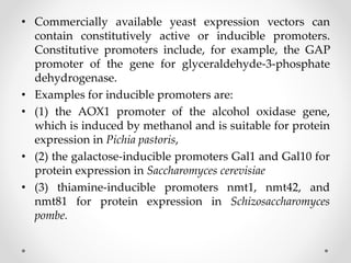 Expression vectors | PPTX