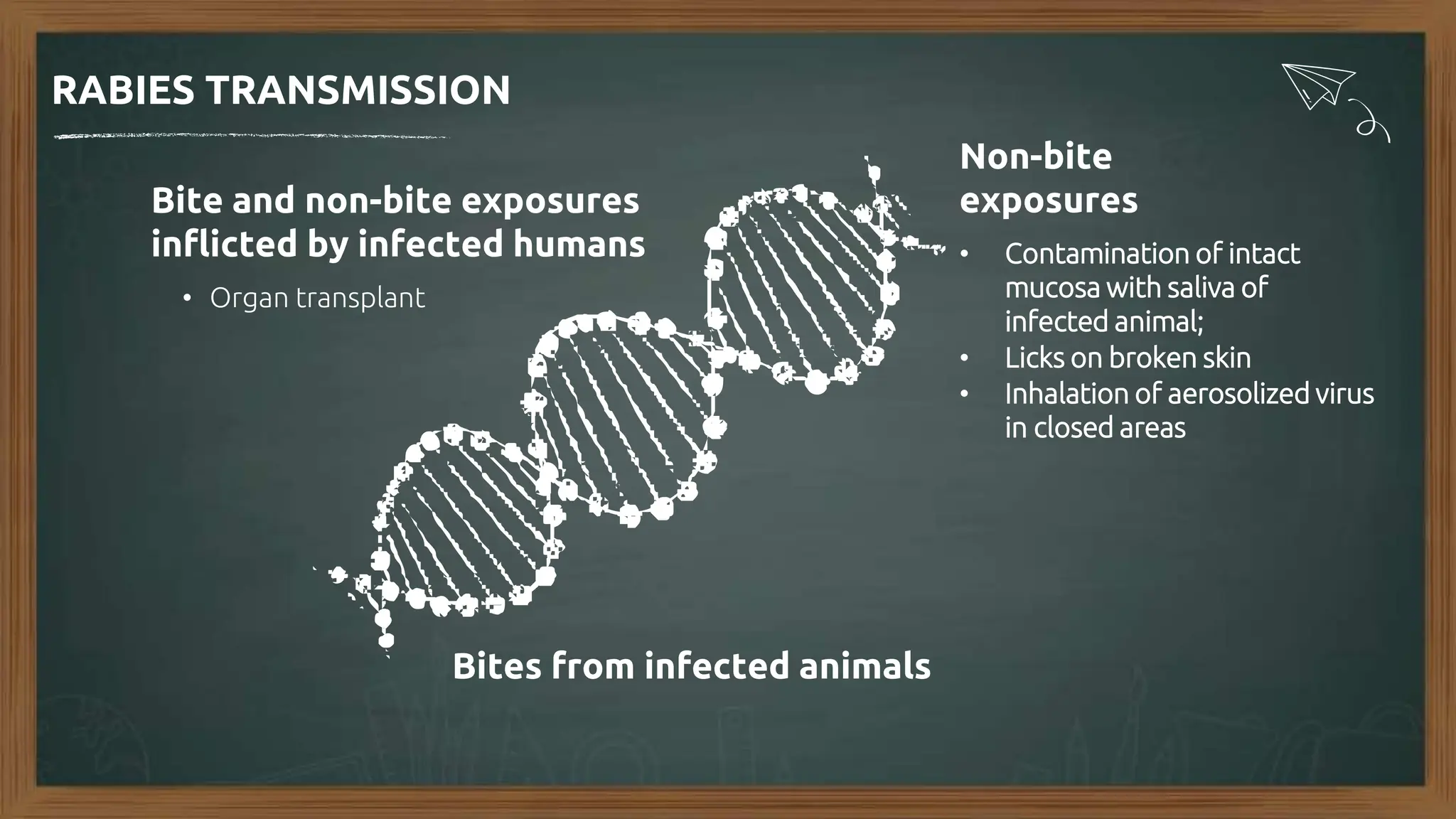Animal bite management Philippines .pptx