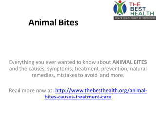 Animal Bites Causes Symptoms Treatment | PPTX
