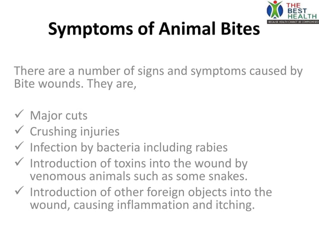 Animal Bites Causes Symptoms Treatment | PPTX