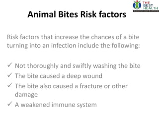 Animal Bites Causes Symptoms Treatment | PPTX