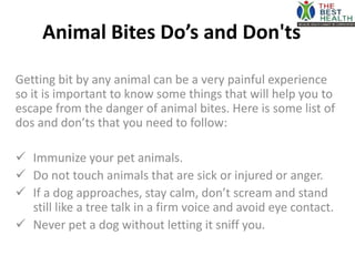 Animal Bites Causes Symptoms Treatment | PPTX