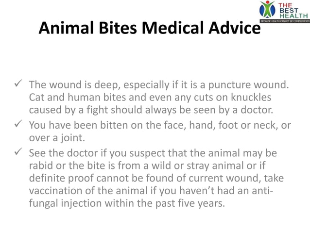 Animal Bites Causes Symptoms Treatment | PPTX