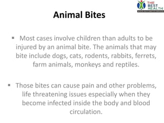 Animal Bites Causes Symptoms Treatment | PPTX