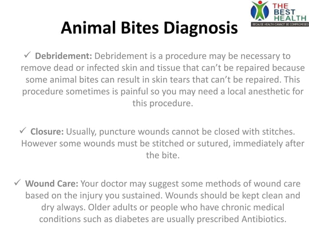 Animal Bites Causes Symptoms Treatment | PPTX