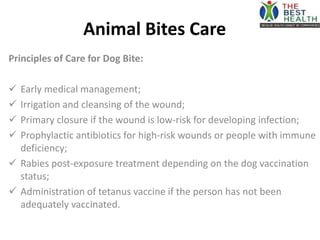Animal Bites Causes Symptoms Treatment | PPTX