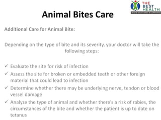 Animal Bites Causes Symptoms Treatment | PPTX