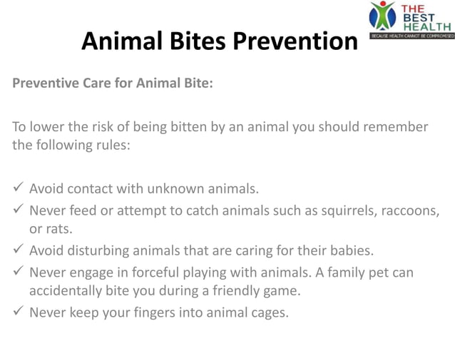 Animal Bites Causes Symptoms Treatment | PPTX
