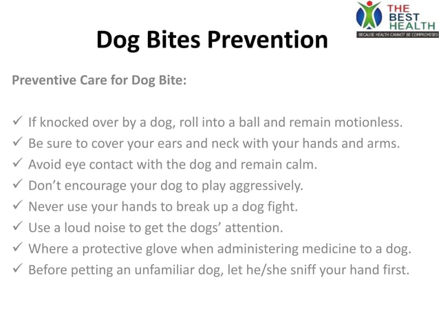 Animal Bites Causes Symptoms Treatment | PPTX