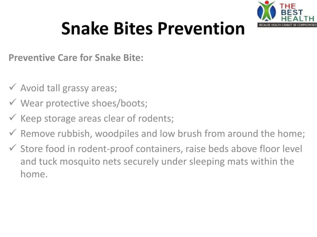 Animal Bites Causes Symptoms Treatment | PPTX