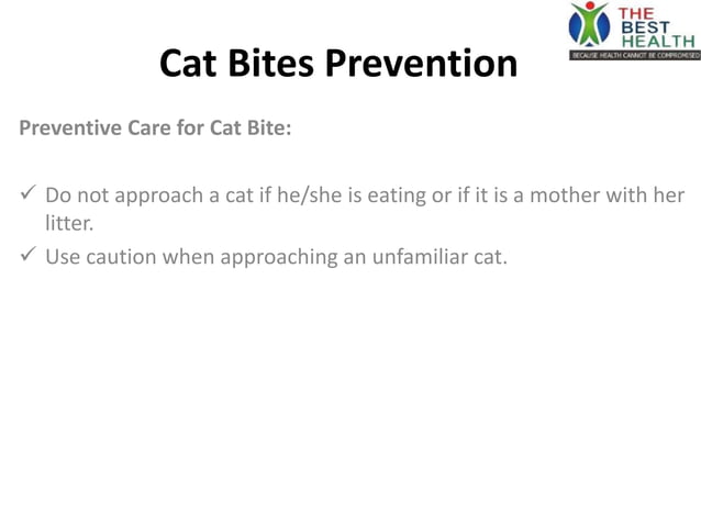 Animal Bites Causes Symptoms Treatment | PPTX