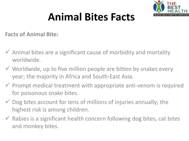 Animal Bites Causes Symptoms Treatment | PPTX
