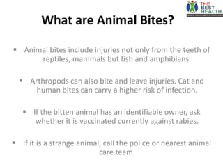 Animal Bites Causes Symptoms Treatment | PPTX