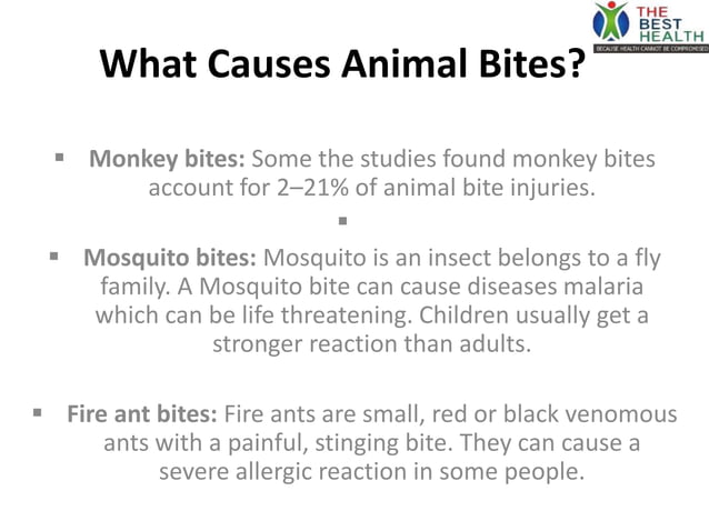 Animal Bites Causes Symptoms Treatment | PPTX