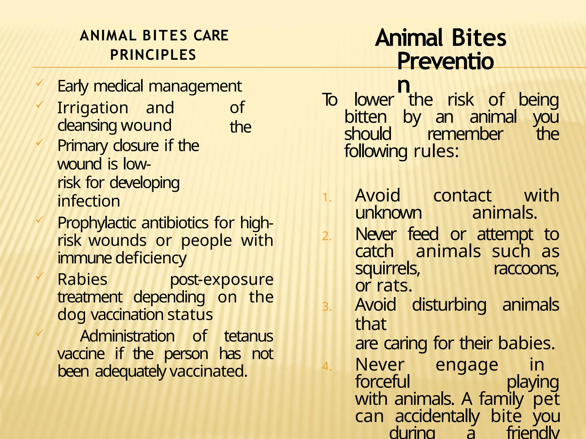animal bites for education ppppppppppppt | PPTX