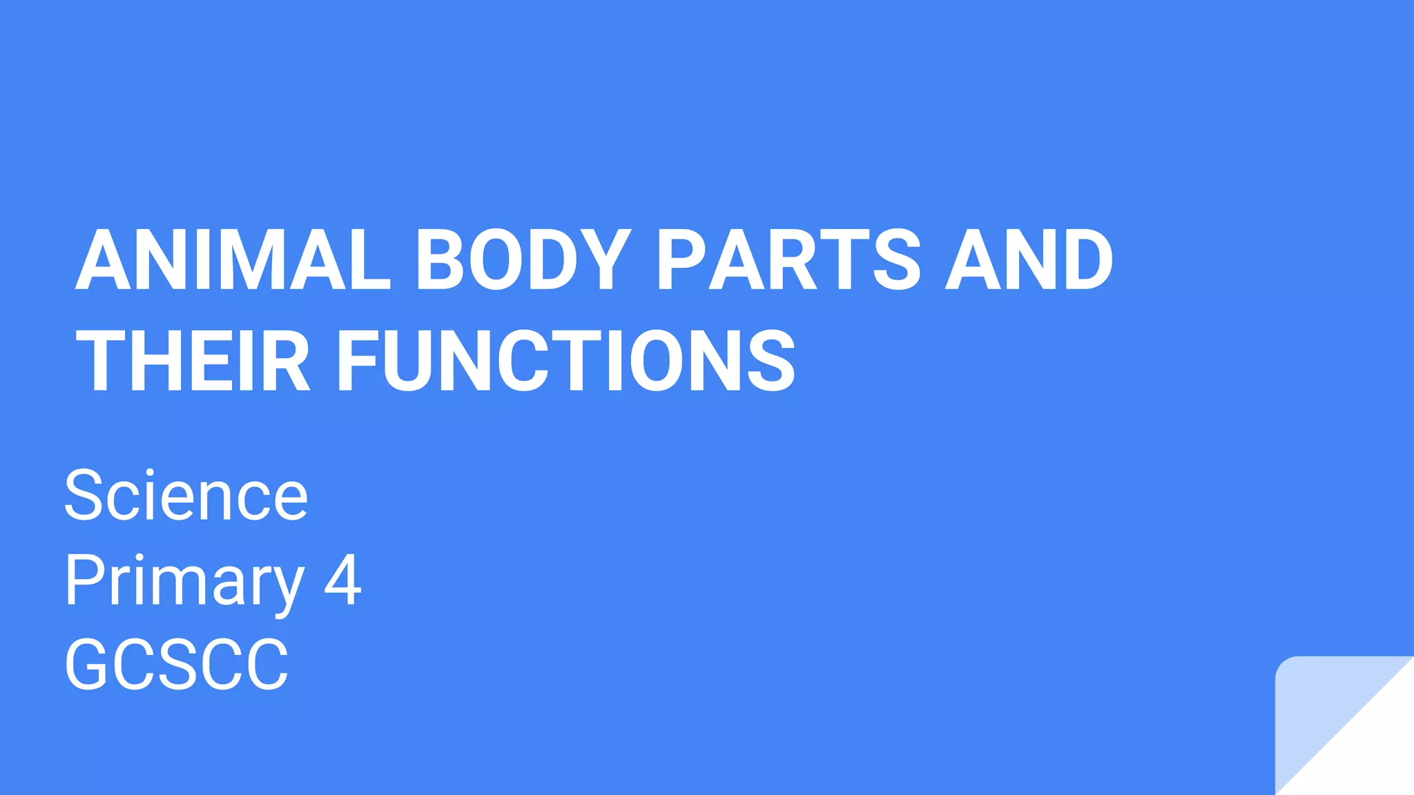 ANIMAL BODY PARTS AND THEIR FUNCTIONS Science P4 .pptx
