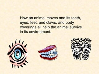 Animal body parts and their uses | PPT