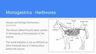 Animal Body Systems for a plant and animal science class | PDF