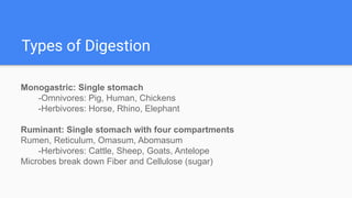 Animal Body Systems for a plant and animal science class | PDF