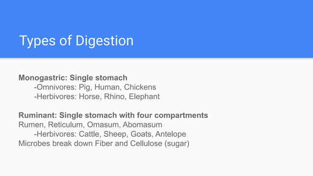 Animal Body Systems for a plant and animal science class | PPT