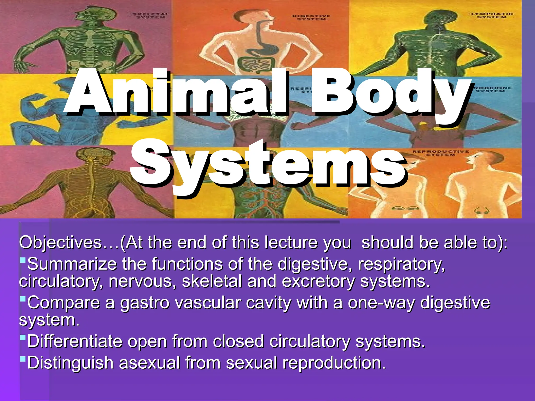 Animal Body Systems revised zzzzzzzzzzzz | PPT