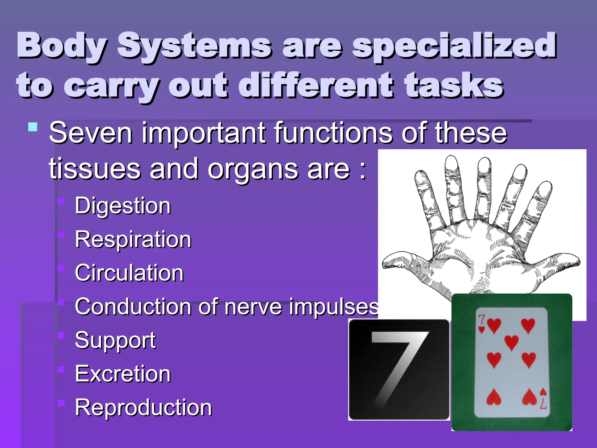 Animal Body Systems revised zzzzzzzzzzzz | PPT