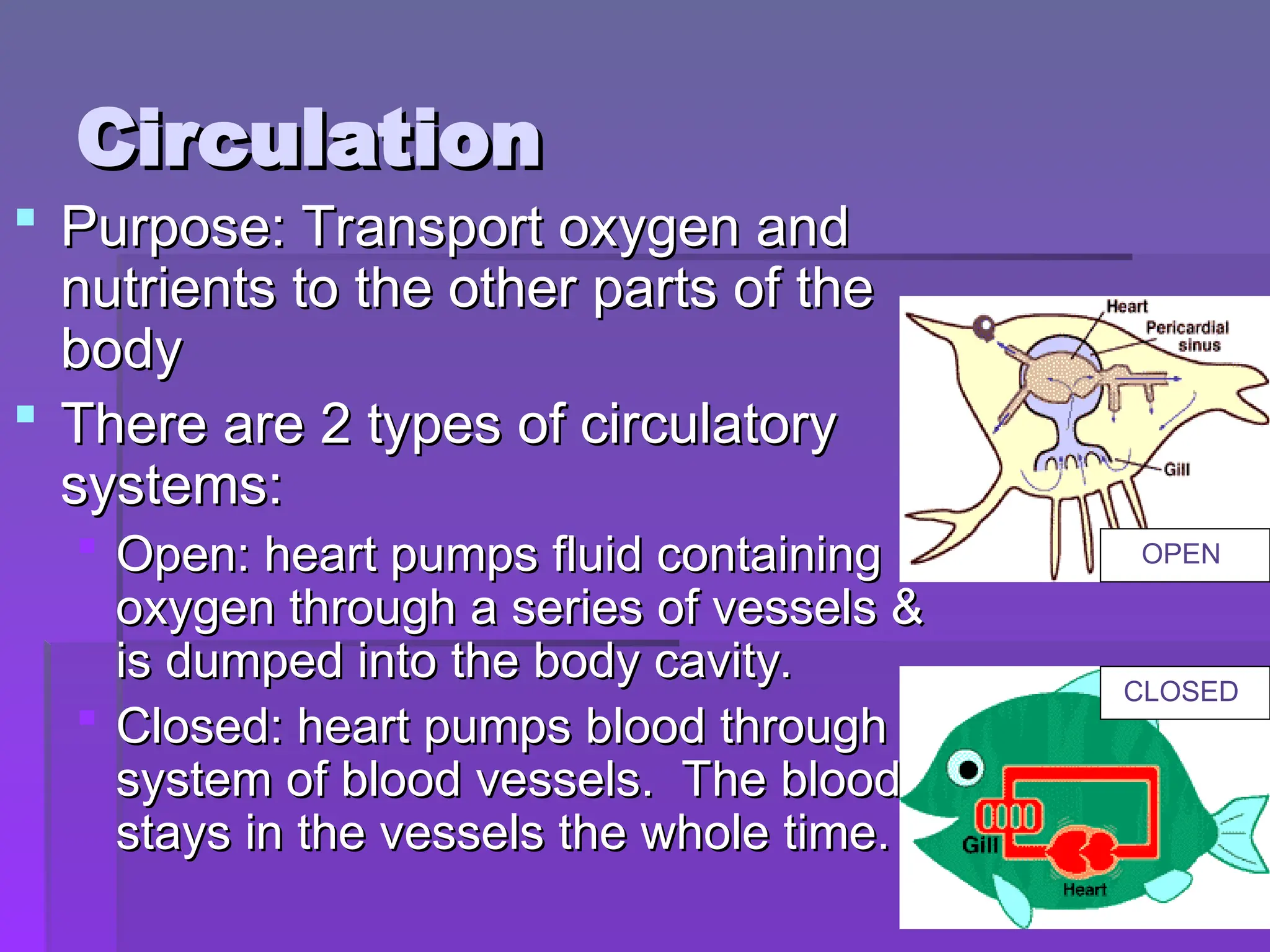 Animal Body Systems revised zzzzzzzzzzzz | PPT