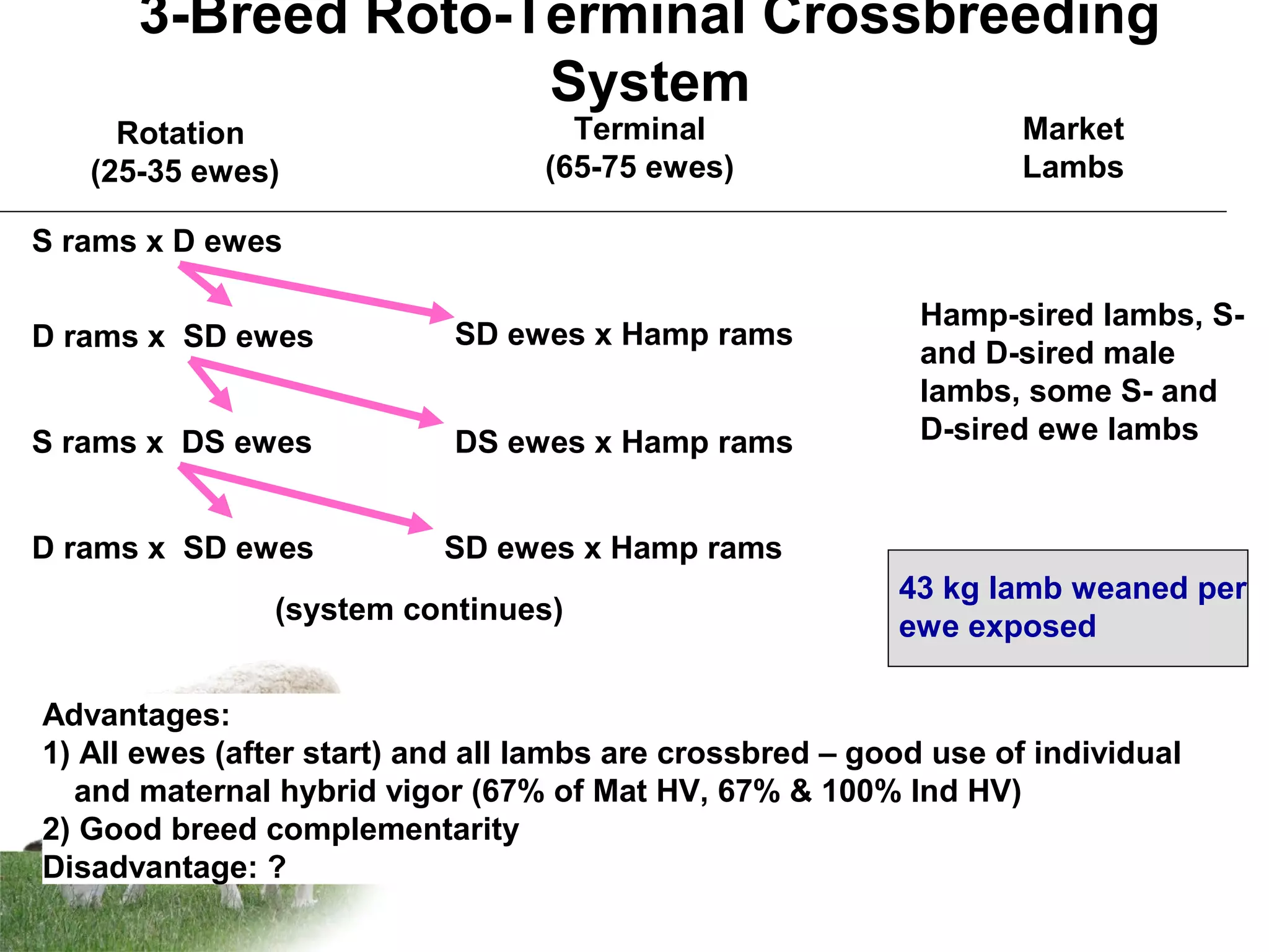 Animal breeding and selection | PPT