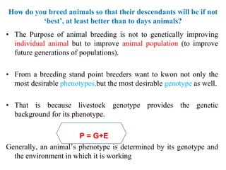 Animal breeding orginal 11.pptxbiothecnology | PPTX