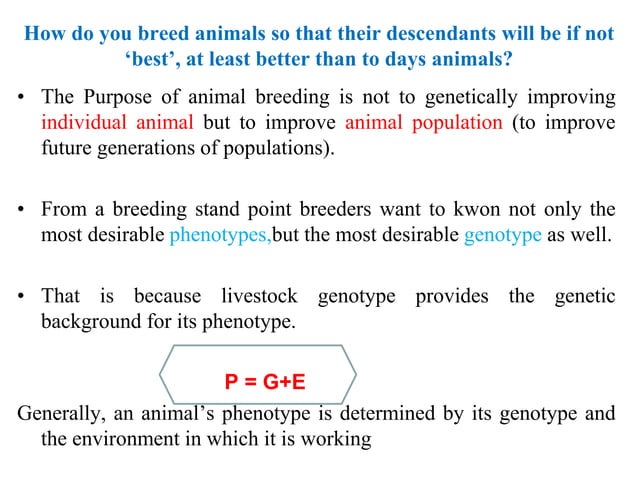 Animal breeding orginal 11.pptxbiothecnology | PPTX