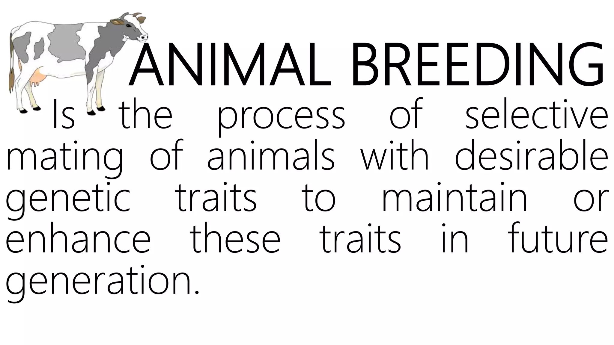 Animal Breeding | PPTX