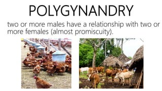 Animal Breeding | PPTX