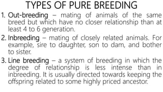 Exploring the Different Methods of Animal Breeding: A Comprehensive Guide